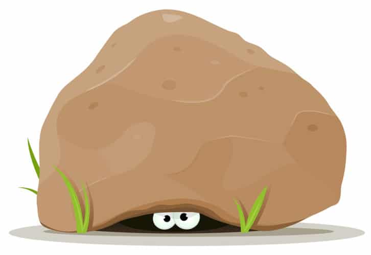 Nat'l Safety Council: Hide Under Rock on Labor DayMonitech